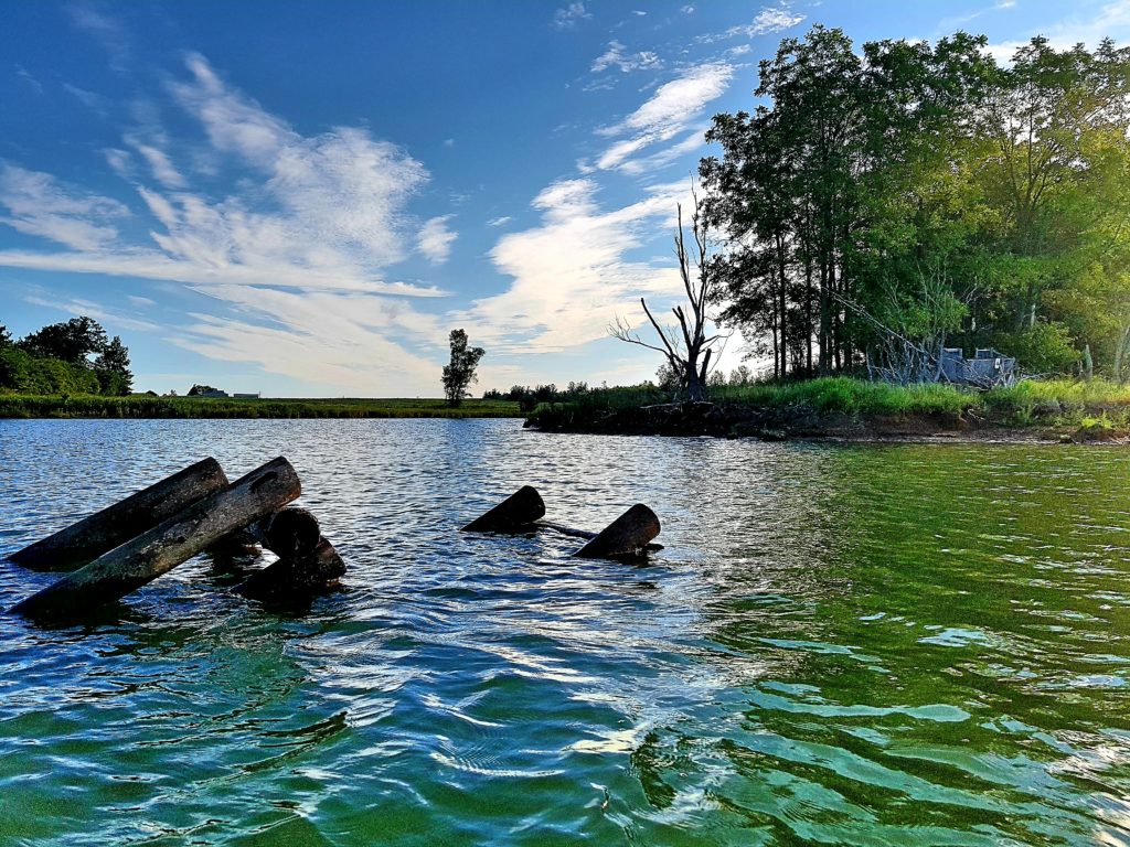 Lake Niapenco, Hamilton – Kayak Ontario