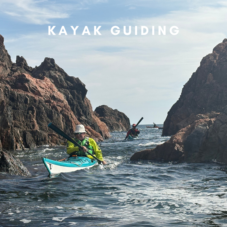 ORCKA Kayak Tripping and Guiding Courses – Kayak Ontario